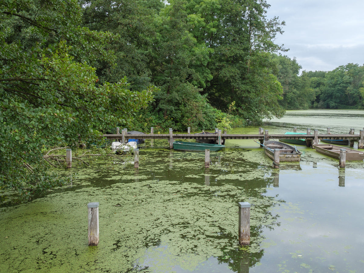 Preventing Algae Growth: Effective Pond Care Strategies