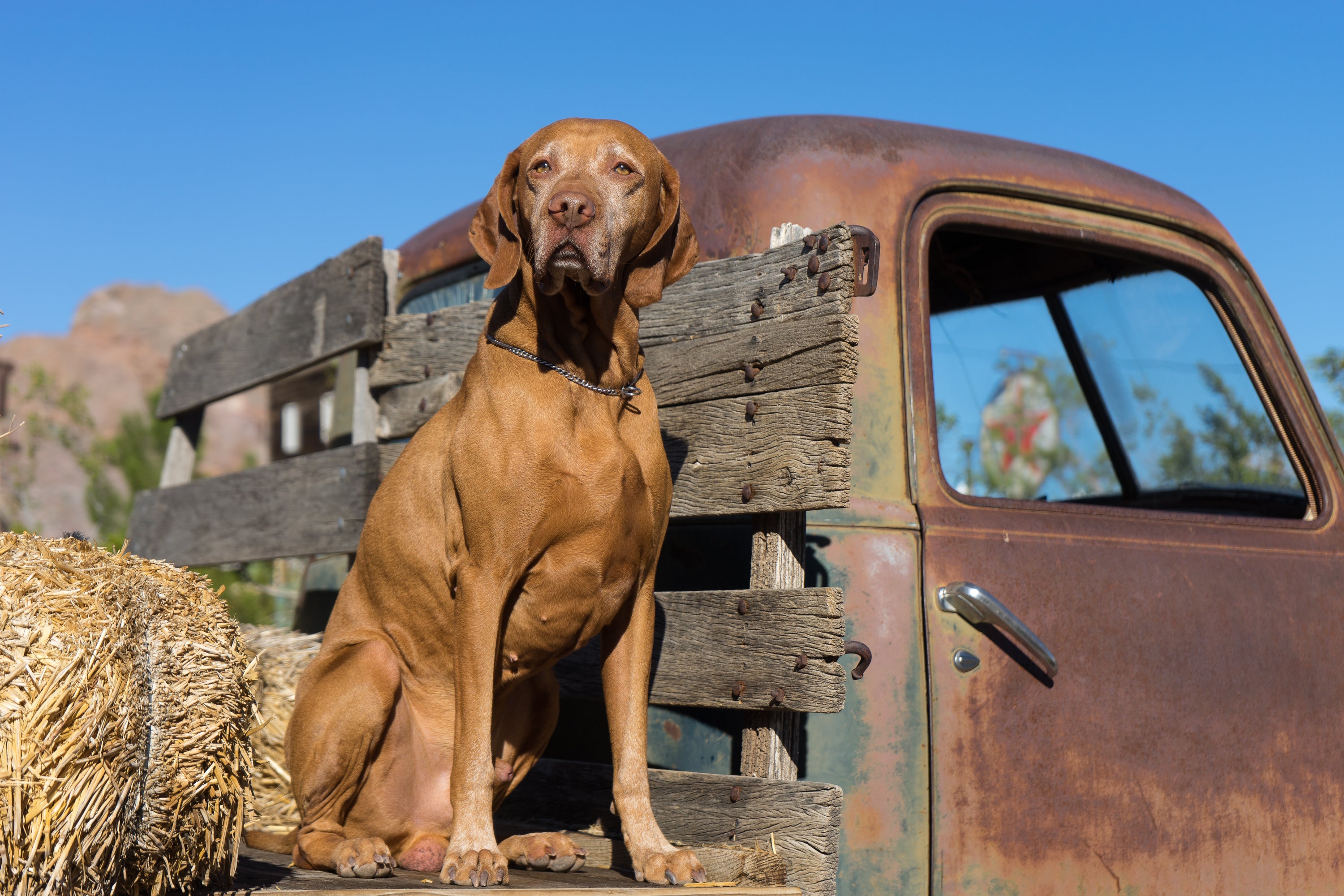 Standish Milling Company | Family Owned | Family Operated | Local
