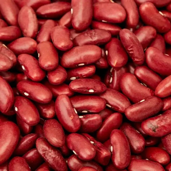 50Lbs Red Kidney Beans – Standish Milling Company