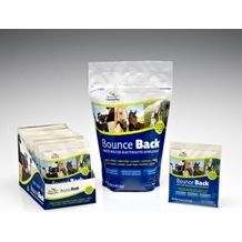4lbs Bounce Back Electrolyte Supplement - Replenish Electrolytes and H