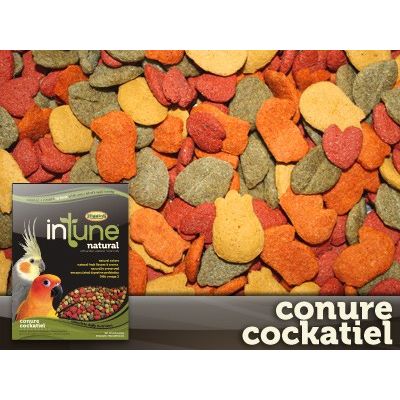 2 lb Higgins InTune Conure/Cockatiel Food - Premium Blend for Conures ...