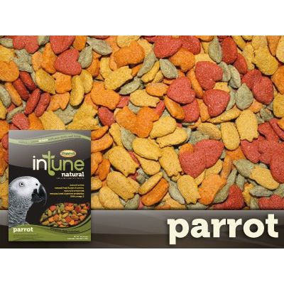 3LB Higgins Intune Parrot – Standish Milling Company
