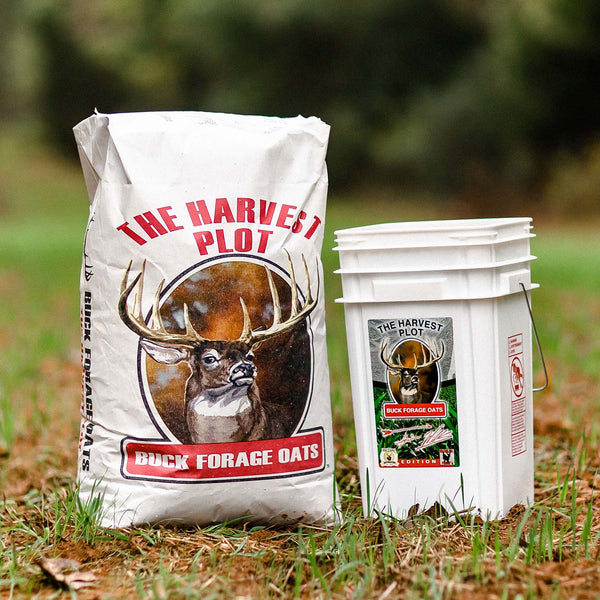 50 Lb Buck Forage Oats - Winter Hardy and Highly Palatable for Wildlif